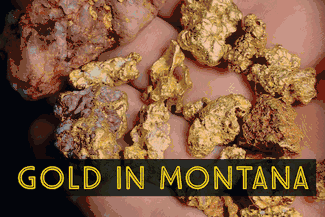 Where to Find Gold. A State-by-State Guide to the U.S.