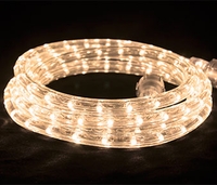 LED Rope Lights and Mounting Accessories