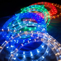 LED Rope Lights and Mounting Accessories