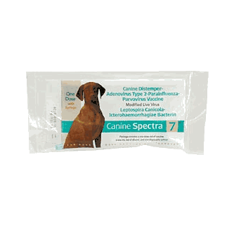 What Is 6 Way Dog Vaccine