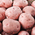red-pontiac-seed-potatoes-50-lbs-12.gif