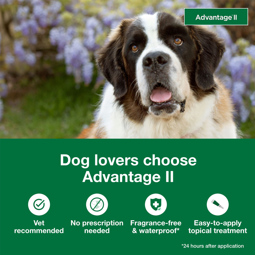 Advantage II for Dogs Over 55 lbs (12 Month) | On Sale | EP Rx