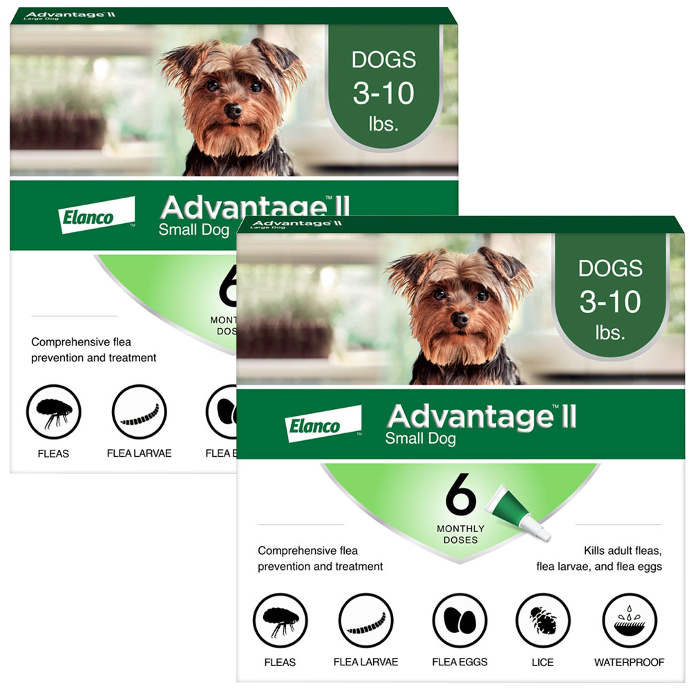 Advantage II for Dogs Under 10 lbs (12 Month) | On Sale | EP Rx