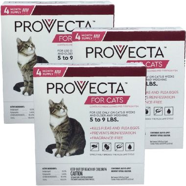 12 MONTH Provecta Advanced for Cats (5-9 lbs) | On Sale | EntirelyPets Rx