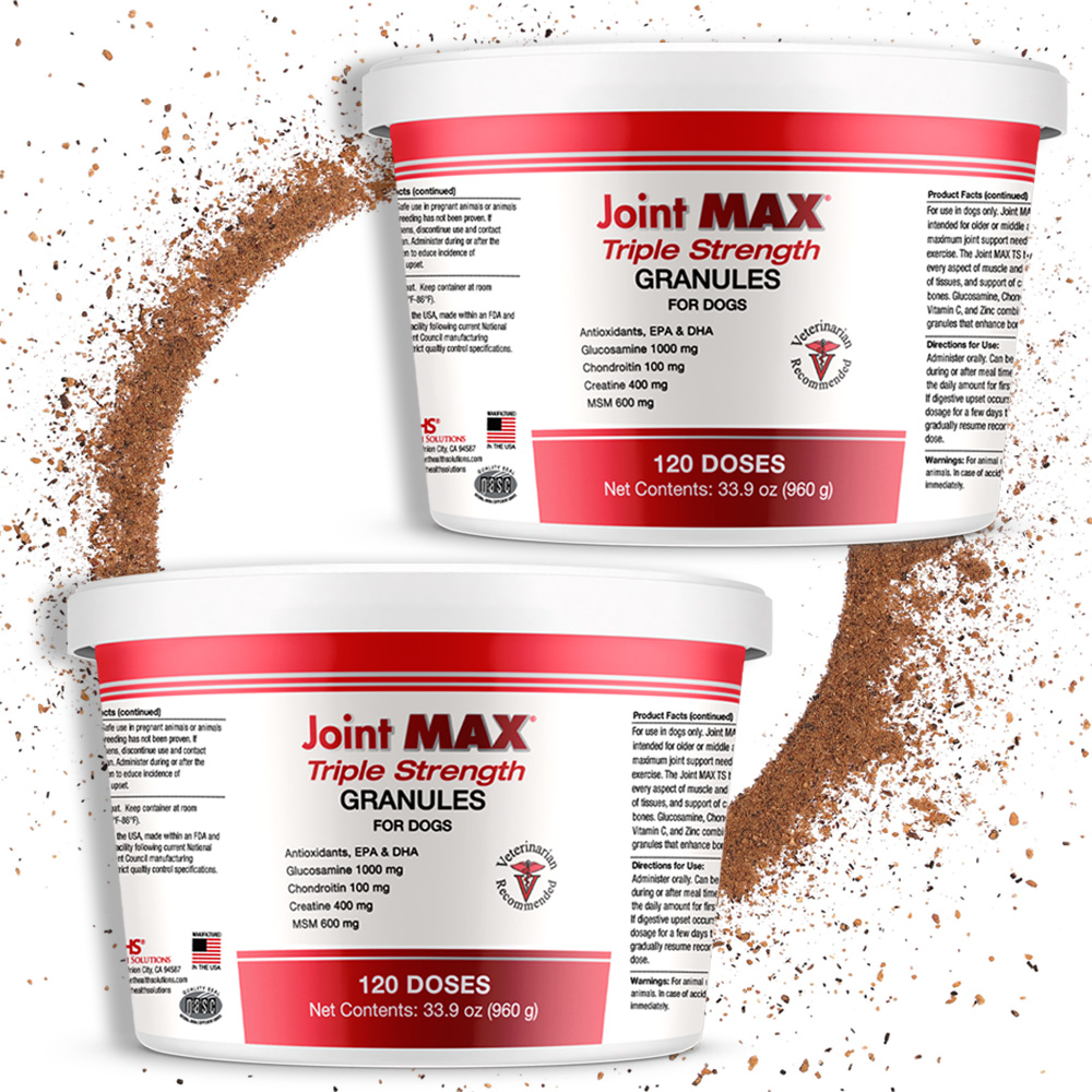 2-PACK Joint MAX Triple Strength Granules (240 Doses) | On Sale ...