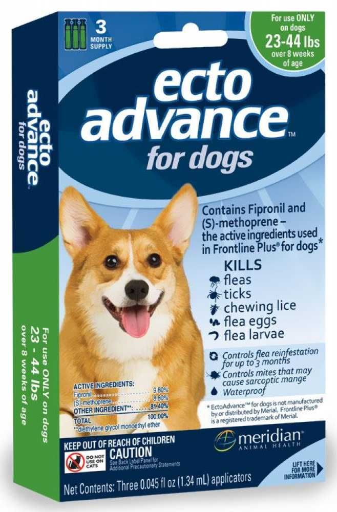 3 MONTH EctoAdvance for Dogs 23-44 lbs | On Sale | EntirelyPets Rx