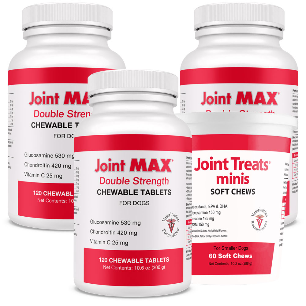 3-PACK Joint MAX Double Strength (360 Chewable Tablets) + FREE Joint ...