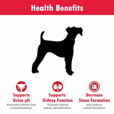 Renal K-Plus Gel for Dogs and Cats (15 oz ) | EntirelyPets Pharmacy