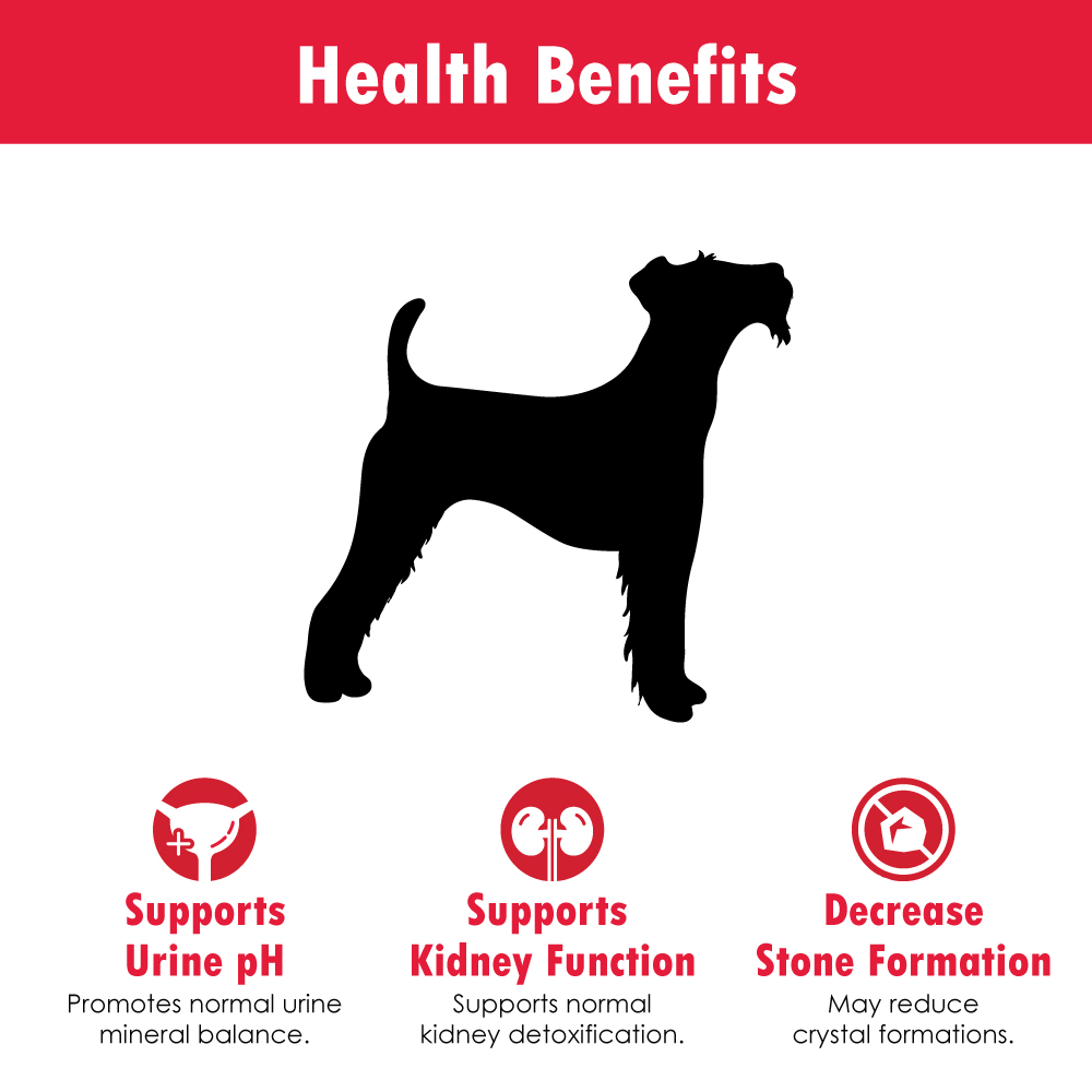 Renal K-Plus Gel for Dogs and Cats (15 oz ) | EntirelyPets Pharmacy