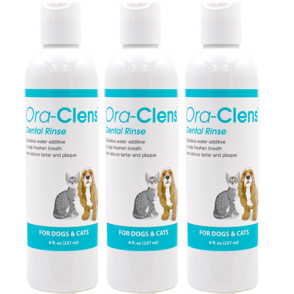 3-Pack Ora-Clens Dental Rinse for Dogs & Cats (8 fl oz) | On Sale ...