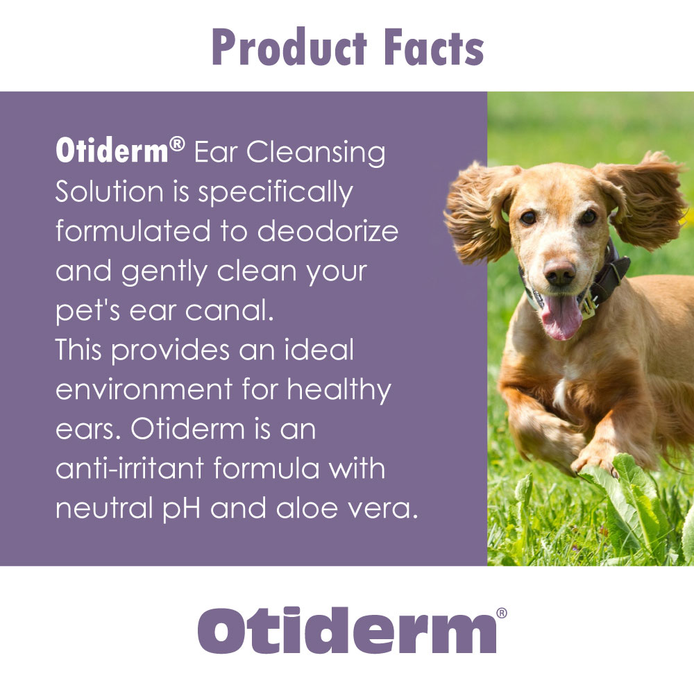 3-PACK Otiderm Ear Cleanser (8 fl oz) | On Sale | EntirelyPets Rx