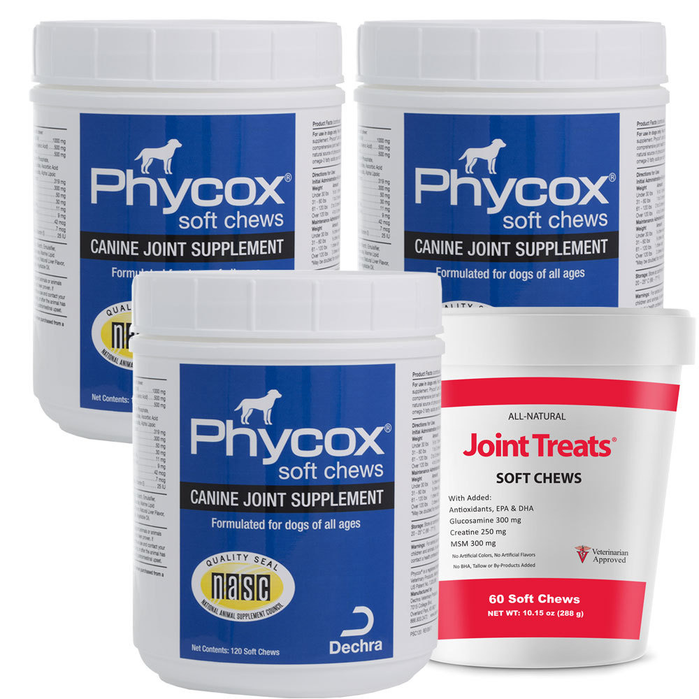 Phycox Soft Chews 3-Pack (360 Soft Chews) + FREE JOINT TREATS! | On ...