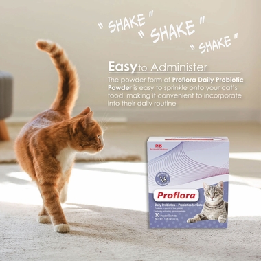 Proflora Probiotic for Cats (30 Servings) | On Sale | EntirelyPets Rx