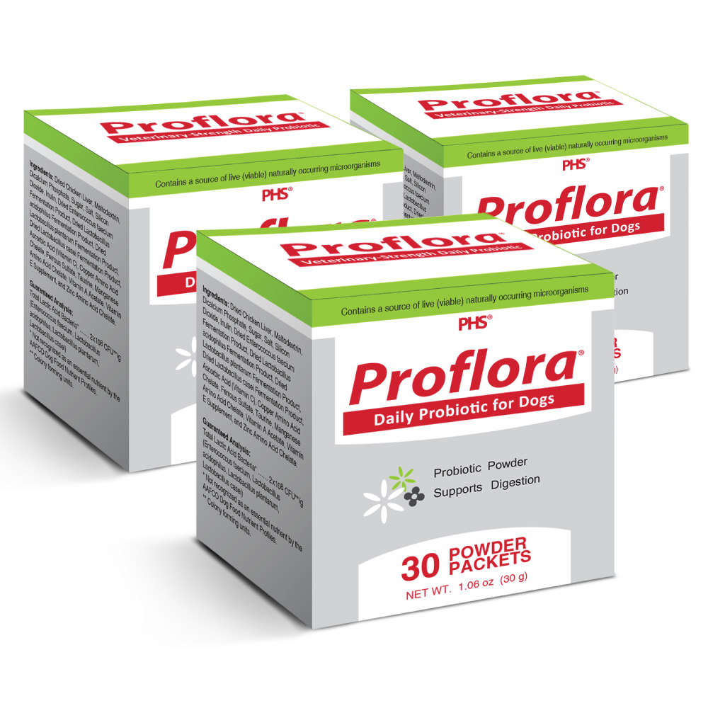 3-PACK Proflora Probiotic for Dogs (90 Servings) | On Sale ...