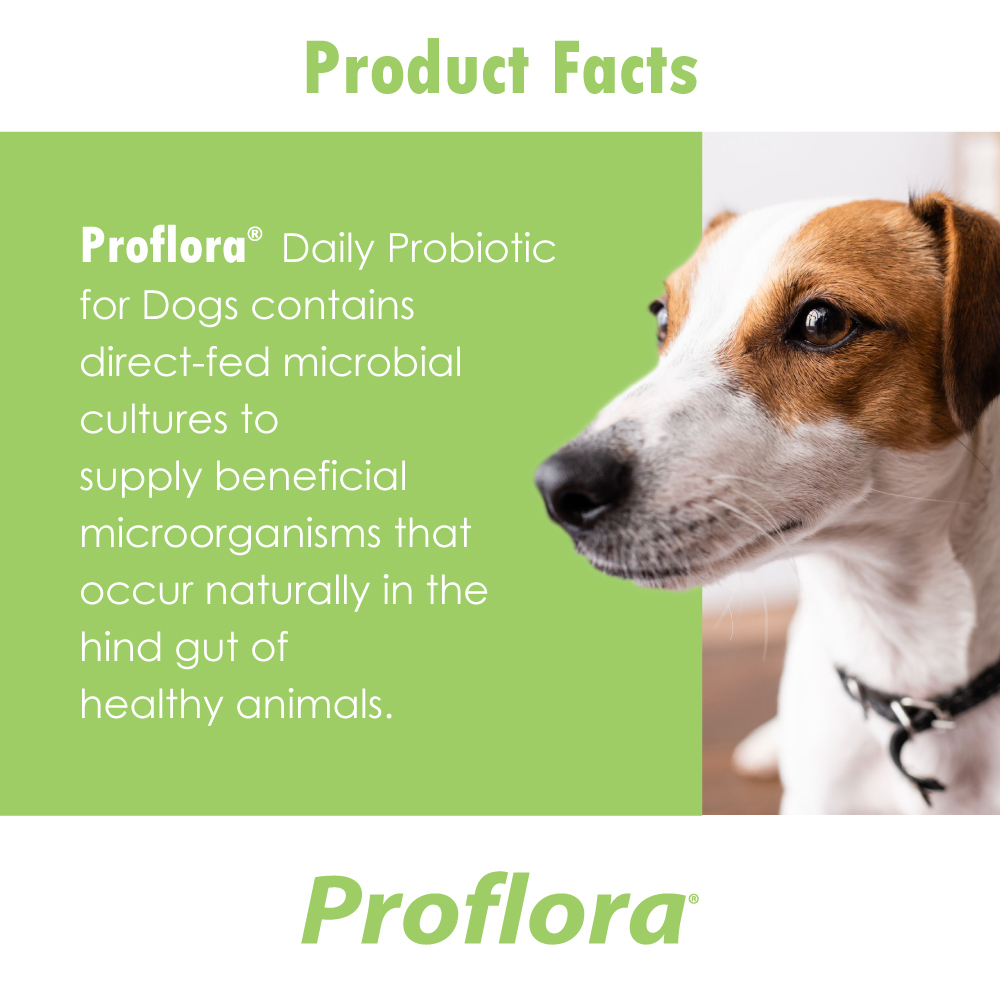 Proflora Probiotic for Dogs (30 Servings) | On Sale | EntirelyPets Rx