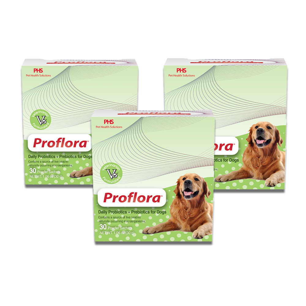 3-PACK Proflora Probiotic for Dogs (90 Servings) | On Sale ...