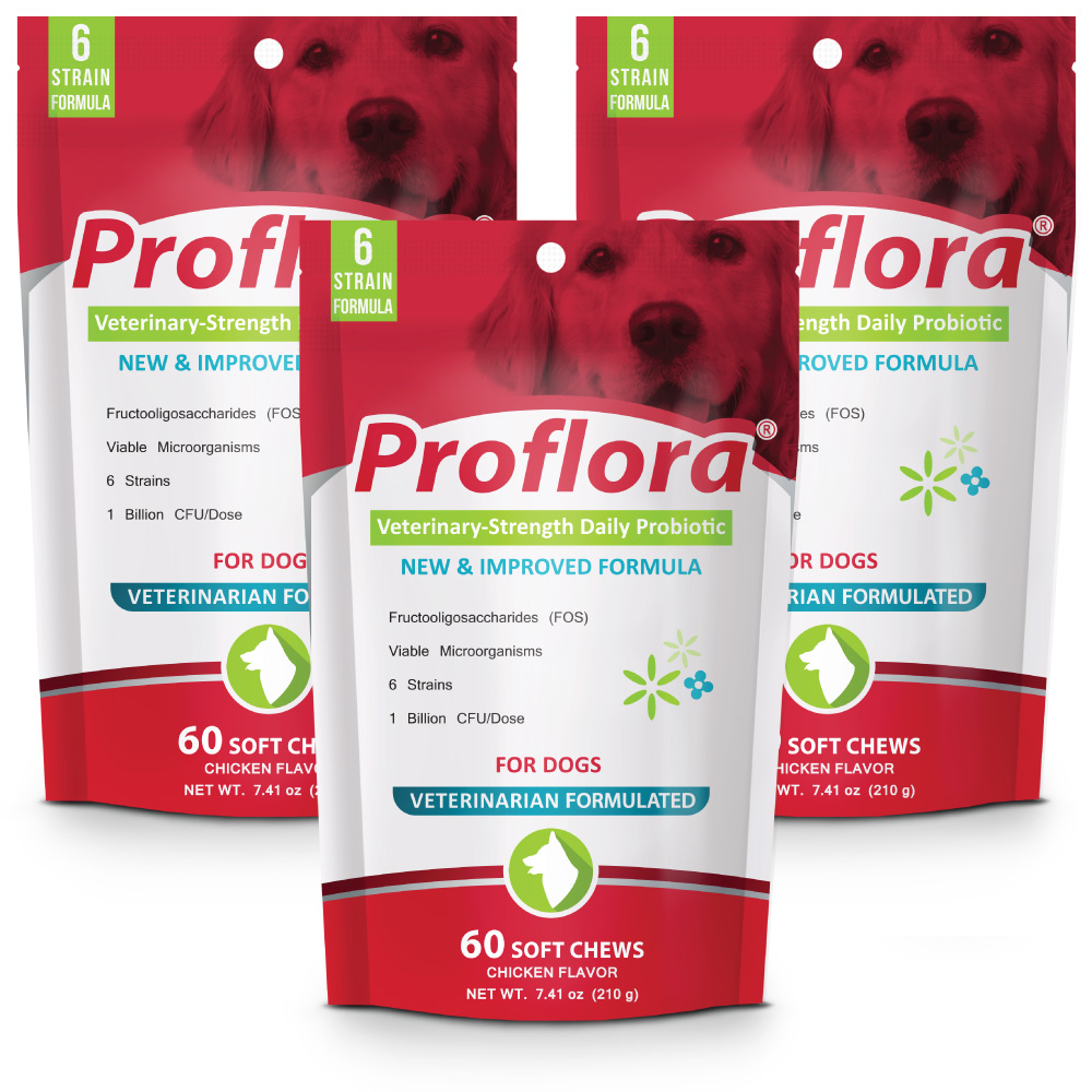 3-PACK Proflora Probiotic Soft Chews for Dogs (180 Count) | On Sale ...