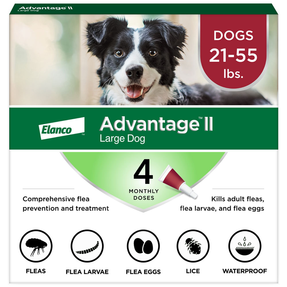 Advantage II for Dogs 21-55 lbs (4 Month) | On Sale | EP Rx