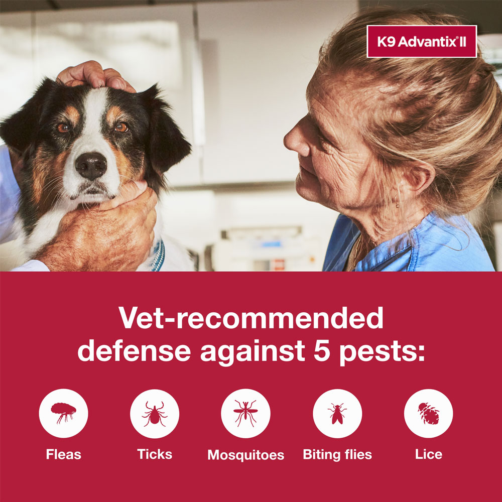 K9 Advantix II for Large Dogs 21-55 lbs, 6 Month | EP Rx