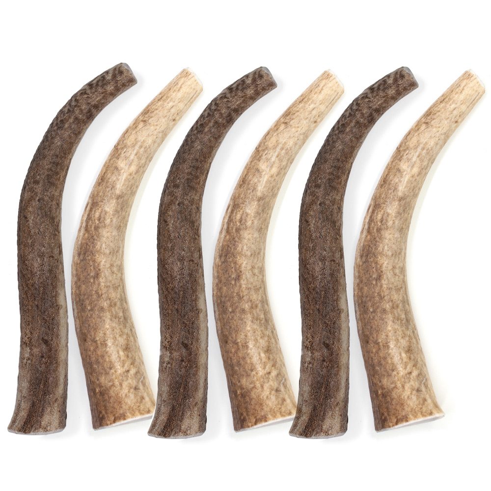 6-PACK Spizzles Elk Antler Dog Chew - Solid (Jumbo) 9" | On Sale ...