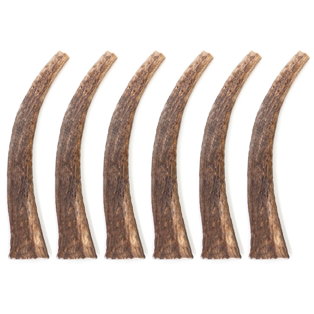 6-PACK Spizzles Elk Antler Dog Chew - Solid (Large) 7" | On Sale ...
