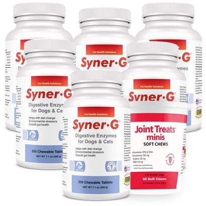 6-PACK Syner-G Digestive Enzymes (1,200 Tablets) + FREE Joint Treats ...