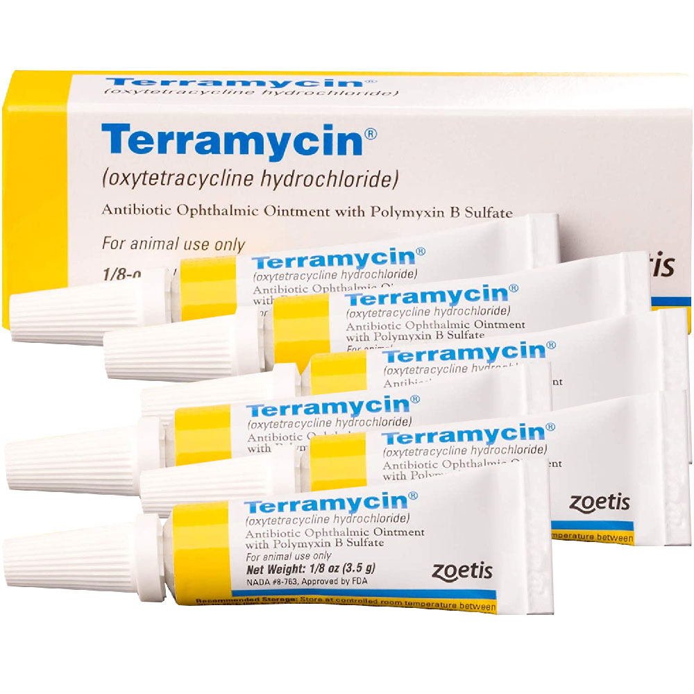 6 Pack Terramycin (21 gram) | On Sale | EntirelyPets Rx