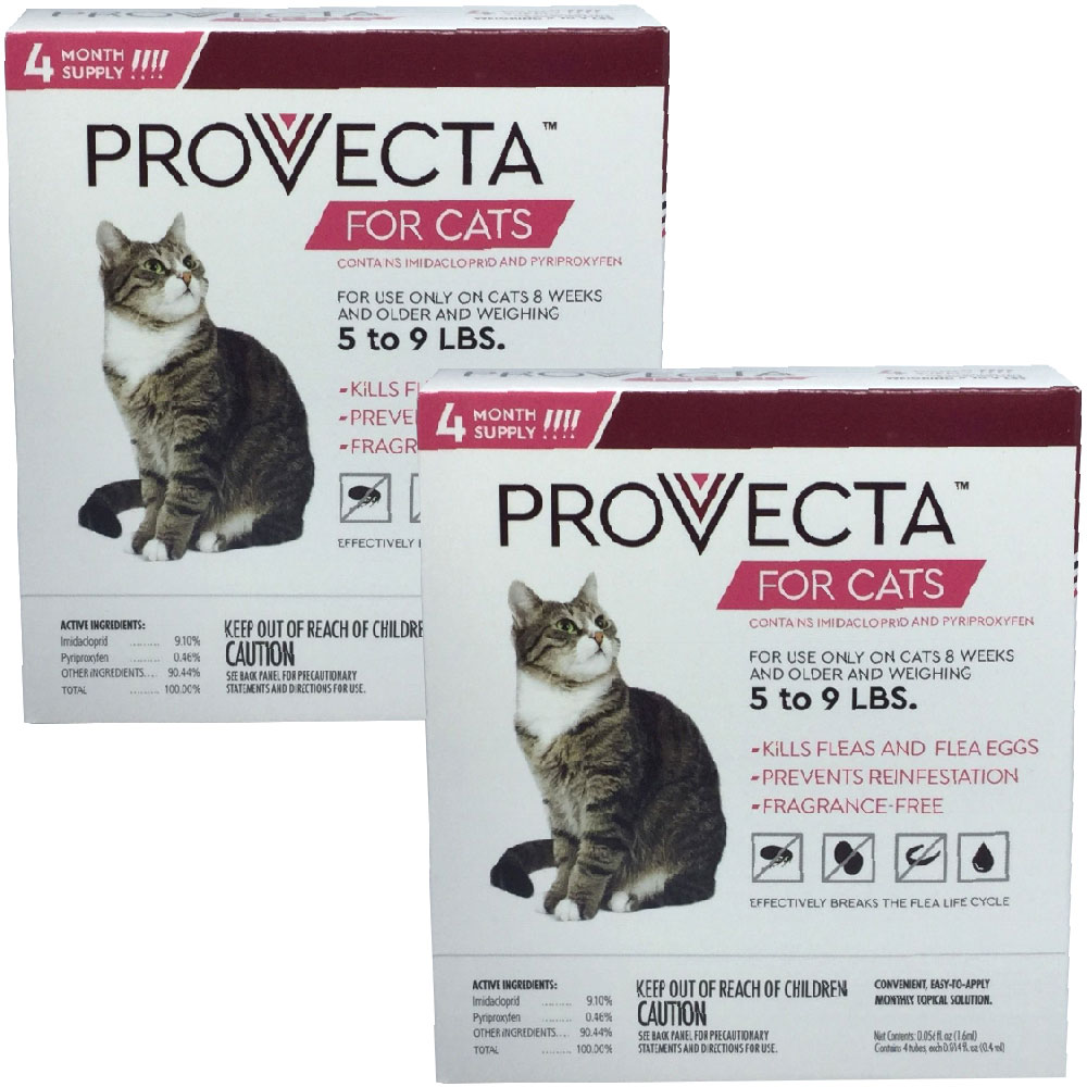 8 MONTH Provecta Advanced for Cats (5-9 lbs) | On Sale | EntirelyPets Rx