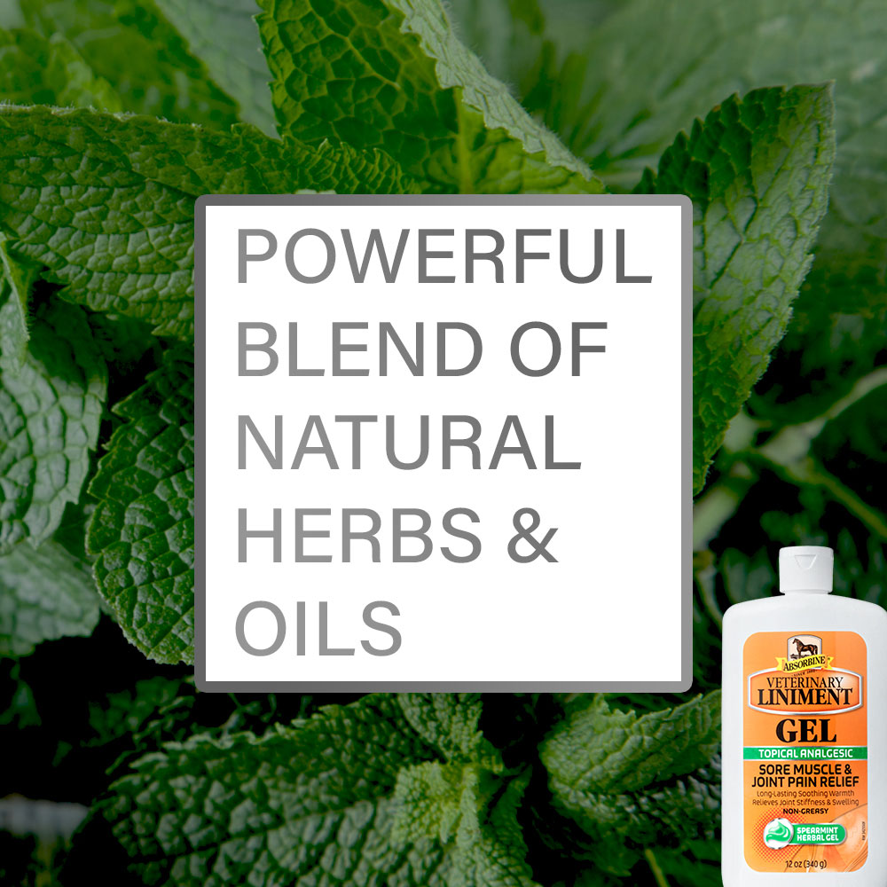 Absorbine Liniment Gel (12 oz) | On Sale | EntirelyPets Rx