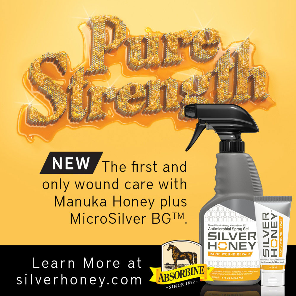 Absorbine Silver Honey Rapid Wound Repair Ointment 2 oz tube | On Sale ...