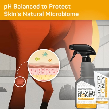 Absorbine Silver Honey Rapid Wound Repair Spray Gel 8 fl oz bottle | On ...