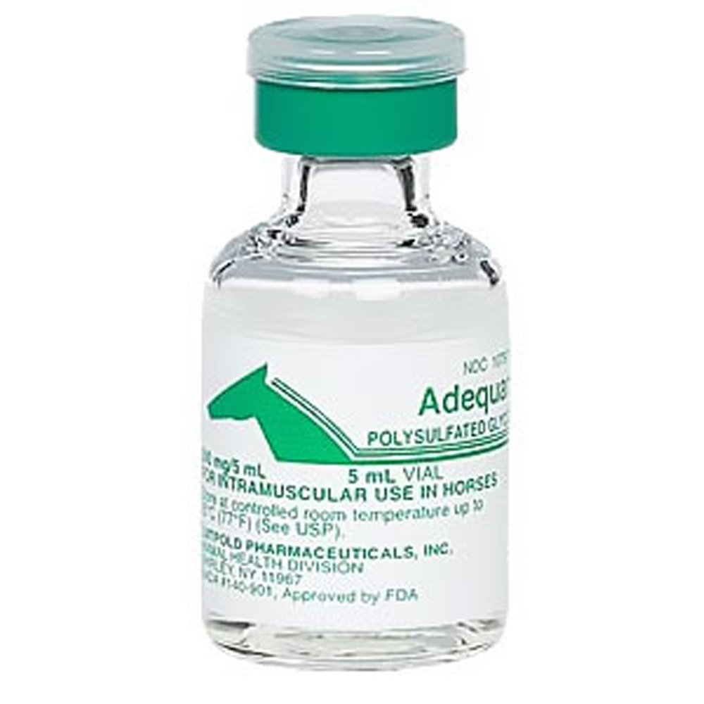 Adequan Equine I.M. 1-Vial (5 mL) | On Sale | EP Rx