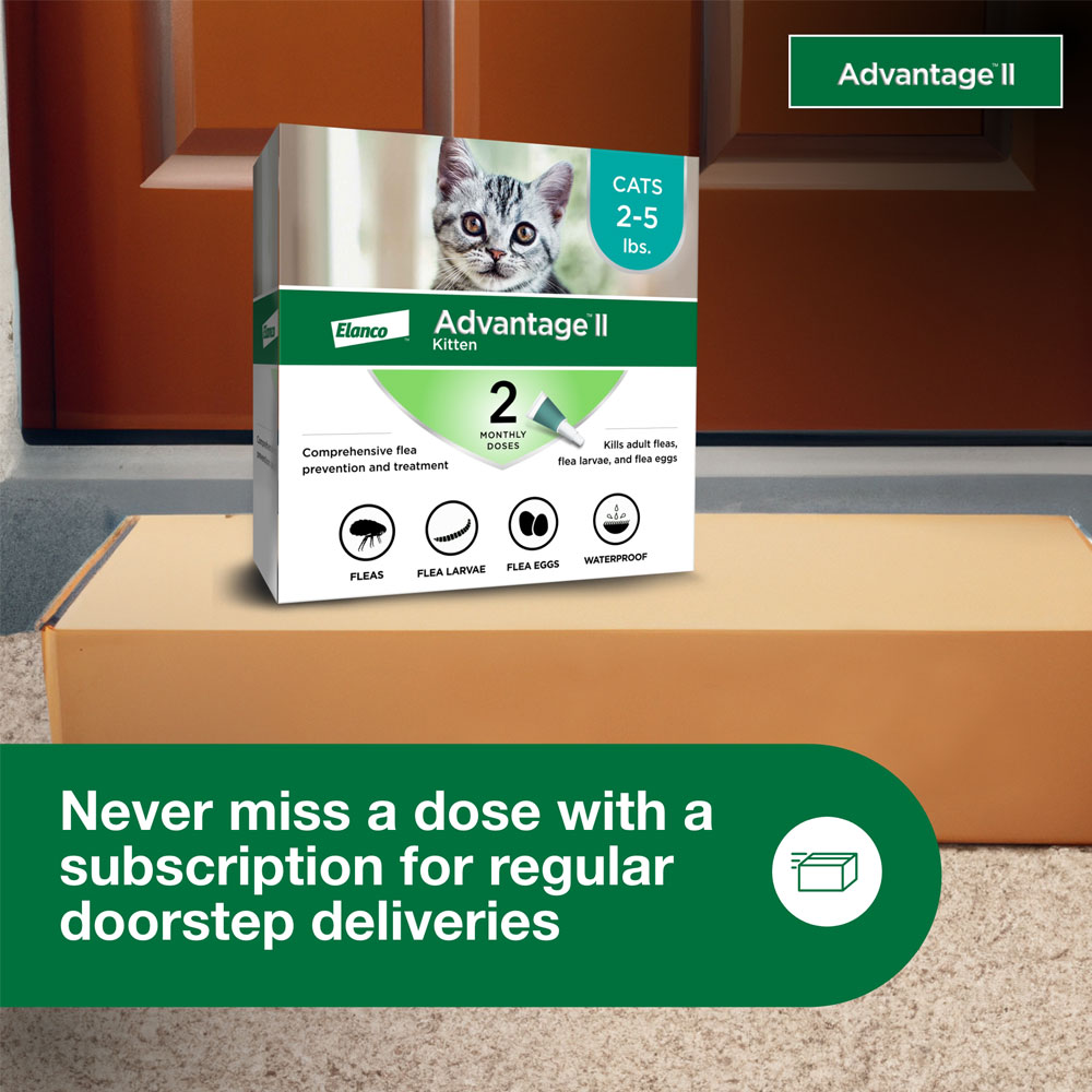 Advantage II Kitten 2-5 lbs.|Vet-Recommended Flea Treatment ...