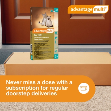 Advantage Multi for Cats 2-5 lbs (3 Months) | On Sale | EP Rx