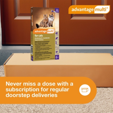 Advantage Multi for Cats 9.1-18 lbs.|5-in-1 Heartworm Prevention|Kills ...