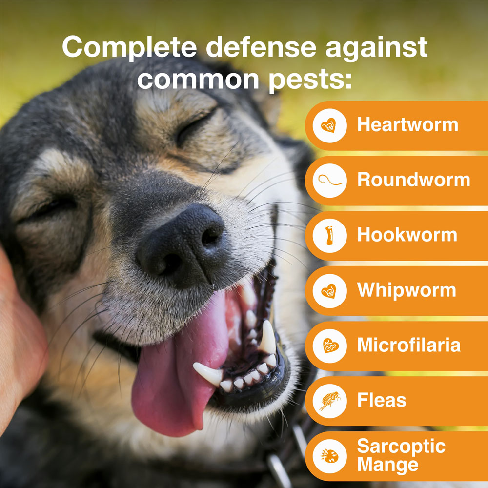 Advantage Multi for Dogs 20.1-55 lbs (12 Months) | On Sale | EP Rx