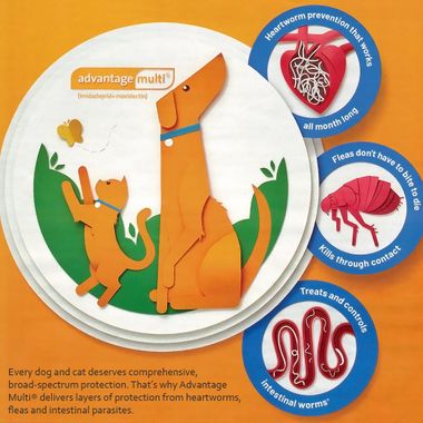 Advantage Multi for Dogs | Free Shipping | EntirelyPets Rx