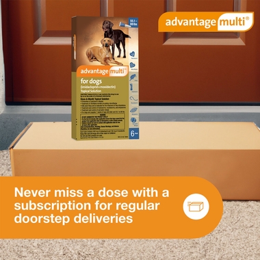 Advantage Multi for Dogs 55.1-88 lbs.|6-in-1 Heartworm Prevention|Kills ...