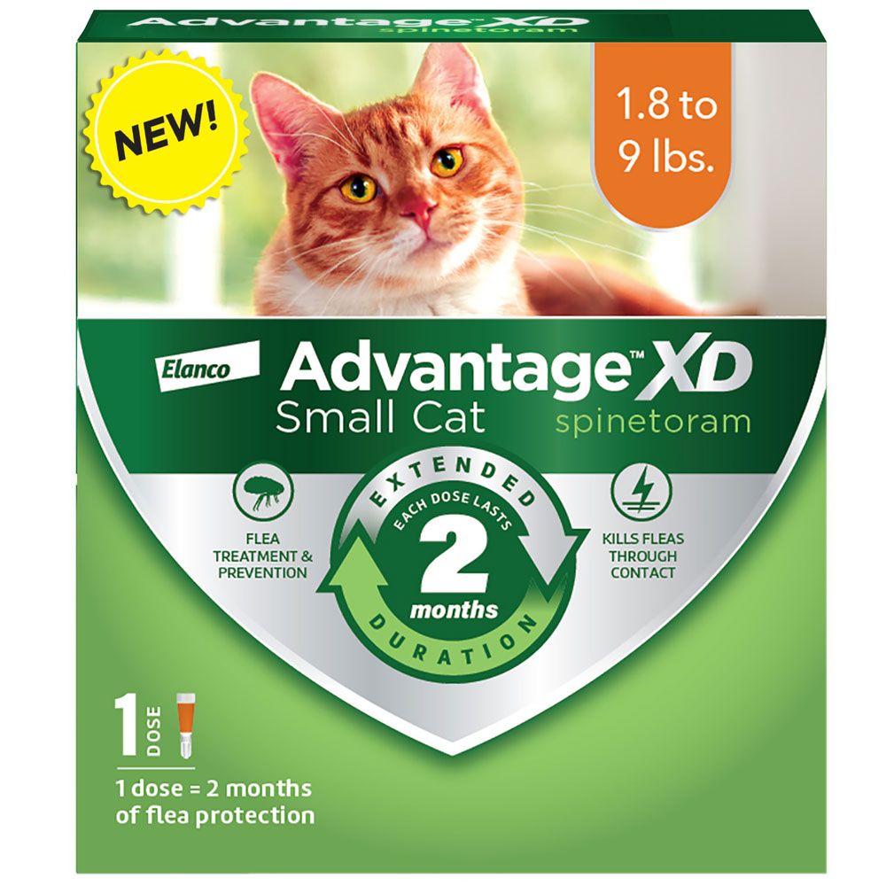 Advantage XD for Small Cats (1.8-9 lbs), Long-Lasting Flea Prevention ...