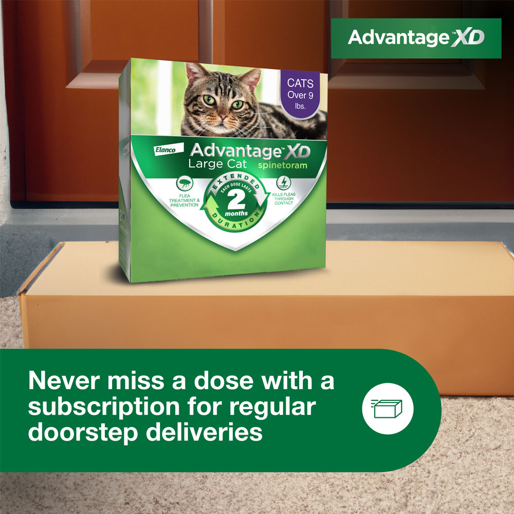 Advantage XD for Large Cats (Over 9 lbs), Long-Lasting Flea Prevention ...