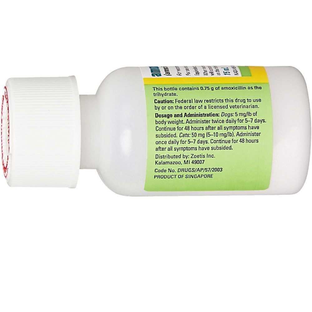 Amoxi Drop (Amoxicillin) 15ml | On Sale | EntirelyPets Rx
