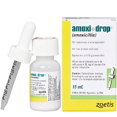 Amoxi Drop (Amoxicillin) 15ml | On Sale | EntirelyPets Rx