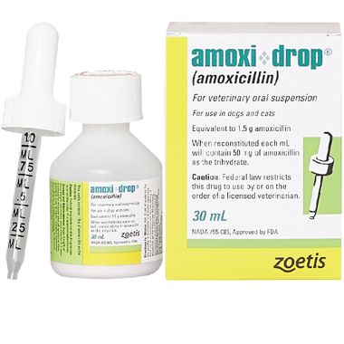 Amoxi-Drop Oral Suspension for Dogs & Cats, 50-mg, 30-mL | On Sale ...