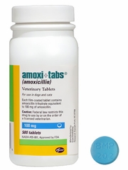 Pet Prescription Medication | On Sale | EntirelyPets Rx