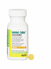 Amoxi-Tabs | On Sale | EntirelyPets Rx