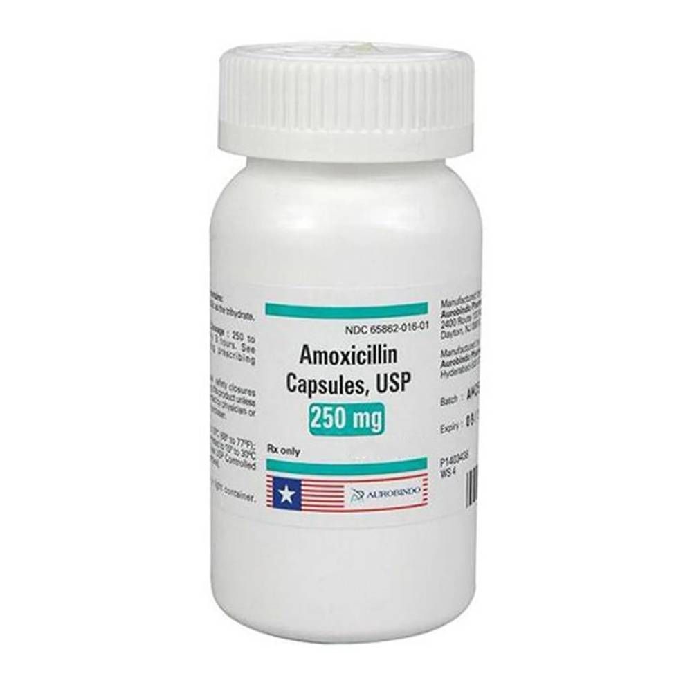 Amoxicillin Capsules for Dogs & Cats - 250 mg (500 count) | On Sale ...