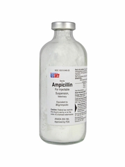 Pet Prescription Medication | On Sale | EntirelyPets Rx