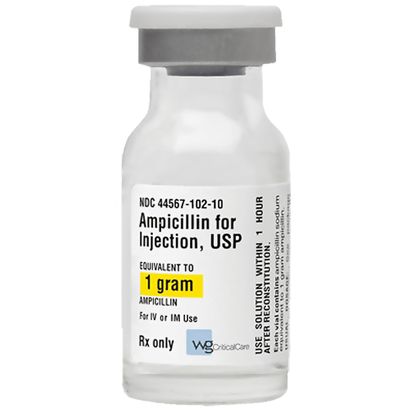 Ampicillin for Injection USP (1 g) | On Sale | EntirelyPets Rx