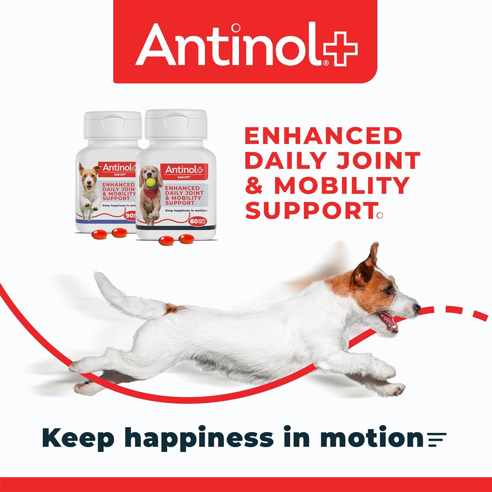 Antinol Plus Mobility, Hip, and Joint Supplement for Dogs, 60 Soft Gels ...