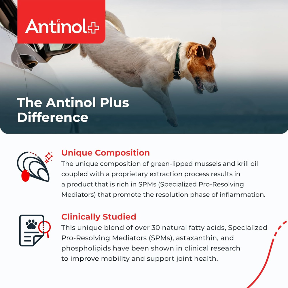 Antinol Plus Mobility, Hip, and Joint Supplement for Dogs, 60 Soft Gels ...